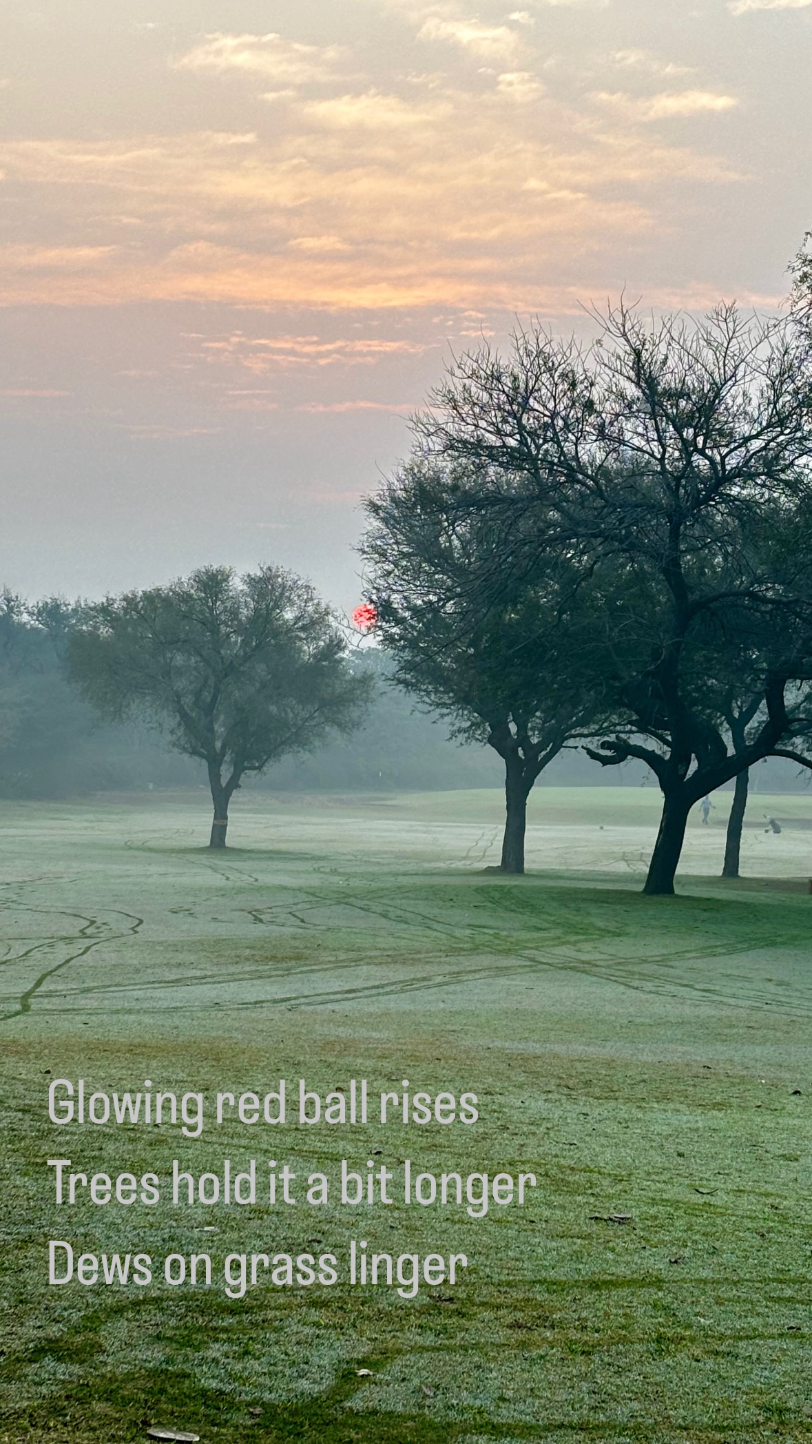 Dew lingers a bit longer – My Tales Within