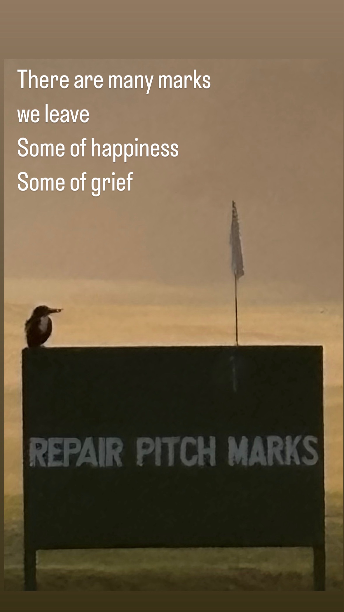 Repair pitch marks – My Tales Within