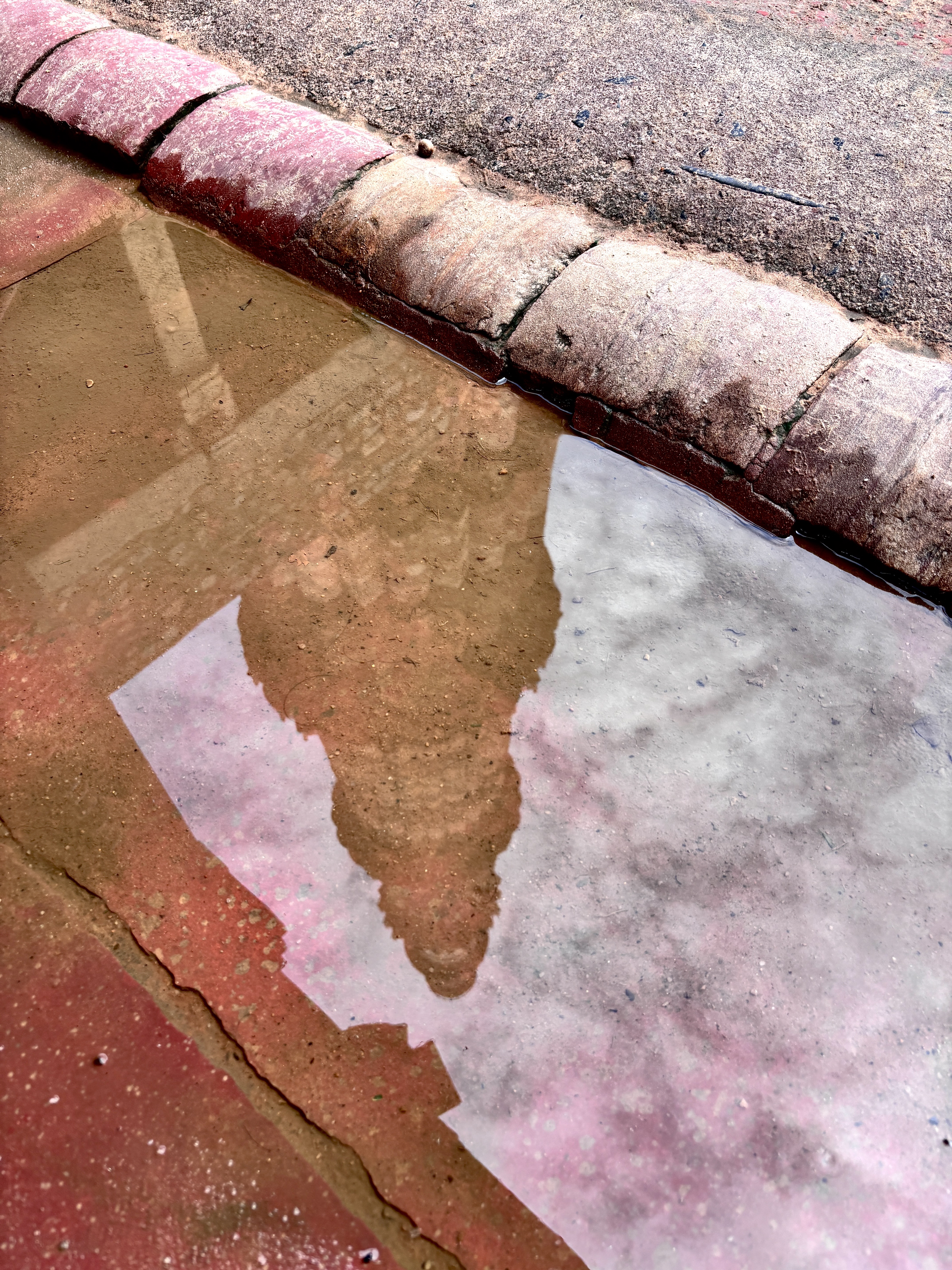 The tallest one – in a puddle – My Tales Within